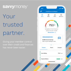 SavvyMoney - CU*Answers Store