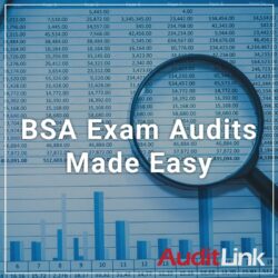 BSA Exam Audits Made Easy - CU*Answers Store